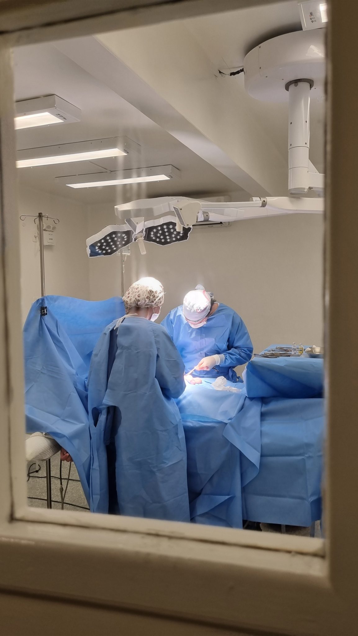 HMSF – Hosp. Mat. Sagrada Família